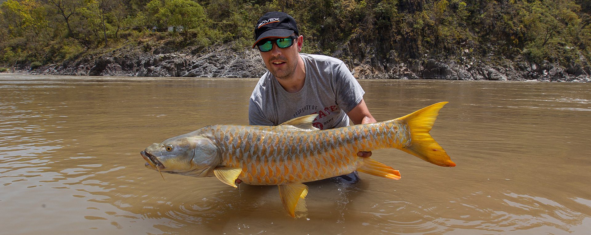 Top 10 Deadliest Fishes In The World - NSNBC