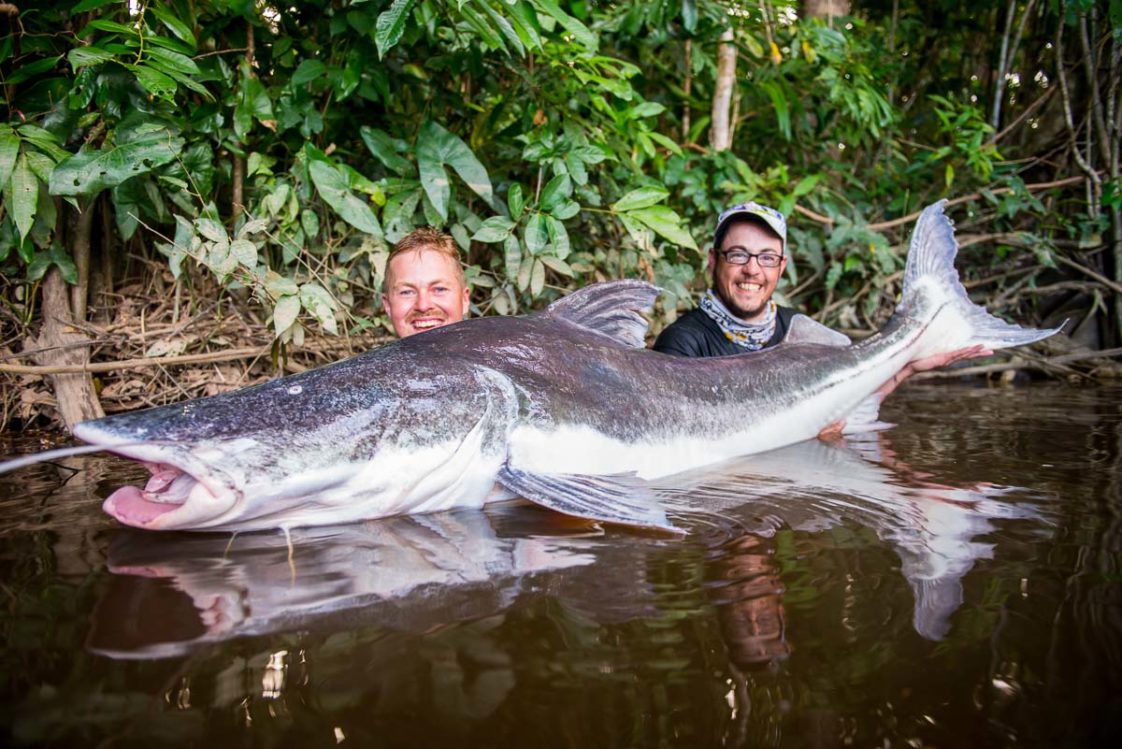 Top 10 Terrifying Creatures Of The Amazon River - NSNBC