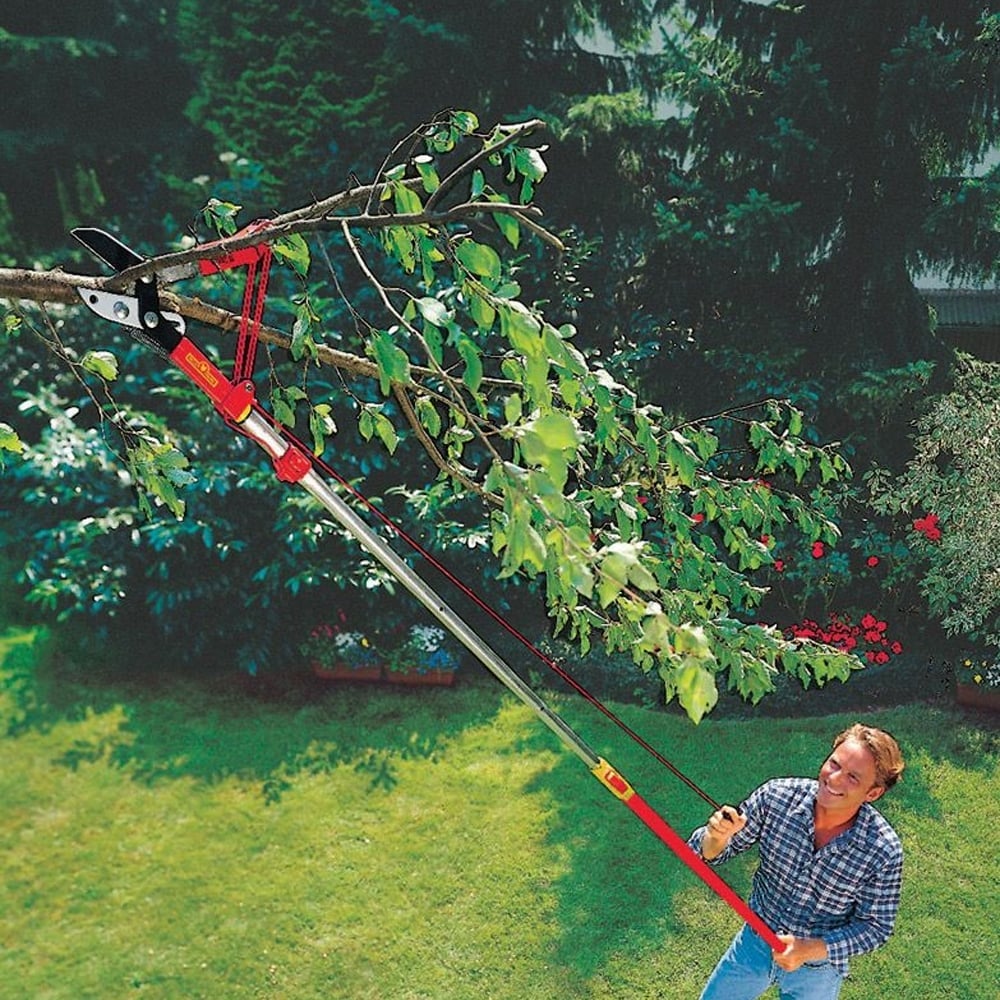 Top 5 Tree Trimming Tools Everyone Needs to Keep Their Trees Beautiful ...
